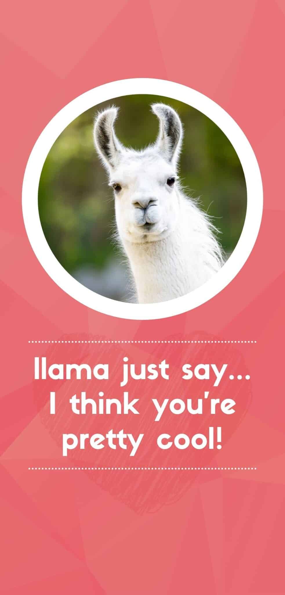 25 Free Valentine Text Cards To Send To Everyone You Love – Midlife Rambler