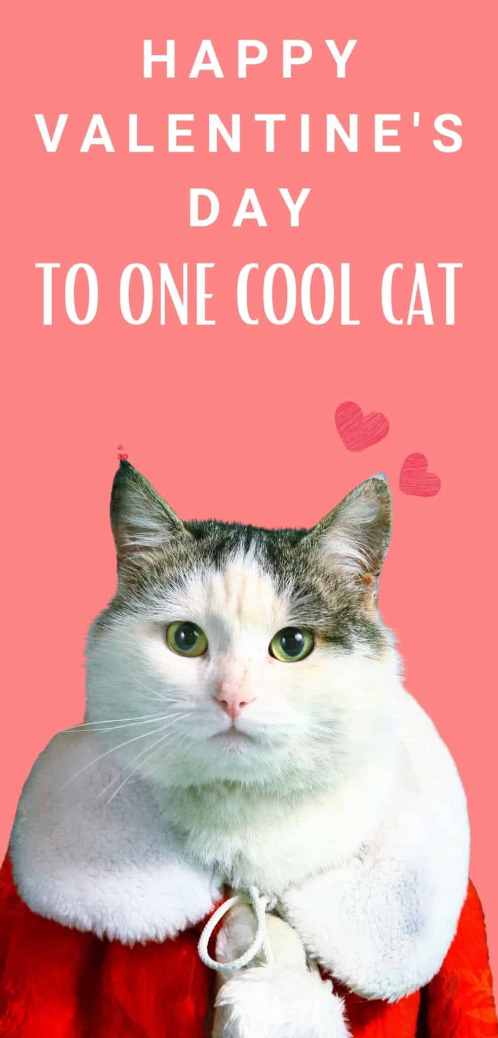 25 Free Valentine Text Cards To Send To Everyone You Love – Midlife Rambler