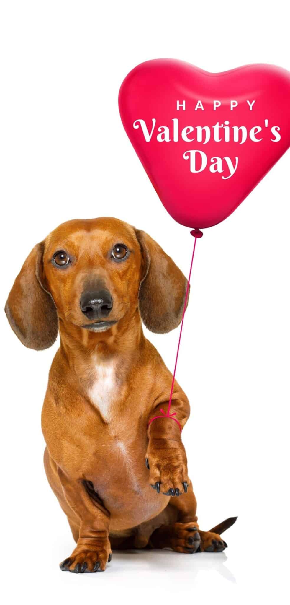 25 Free Valentine Text Cards To Send To Everyone You Love – Midlife Rambler