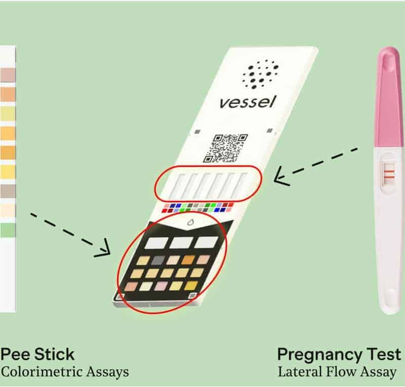 Vessel Health Review: A New Home Wellness Tracker – Midlife Rambler