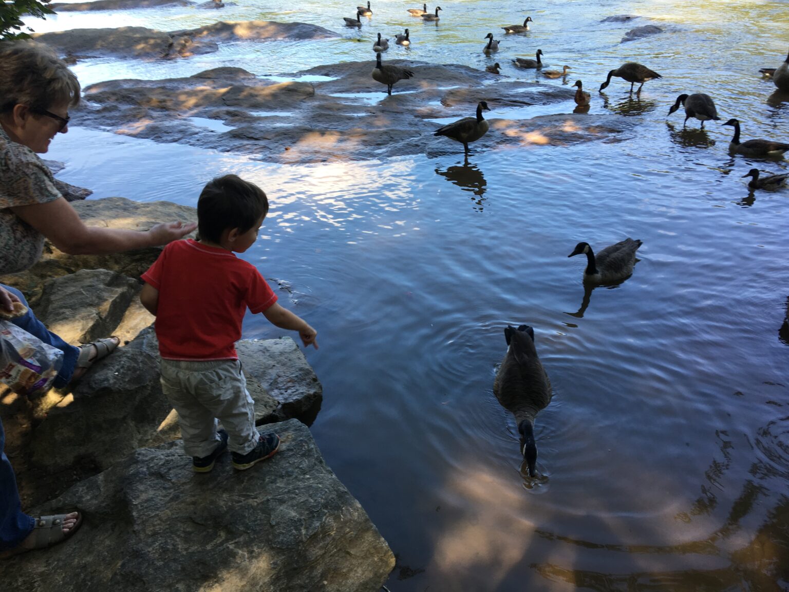 15 Insanely Fun Things To Do With Grandkids! – Midlife Rambler 15 Insanely Fun Things To Do With Grandkids! – Midlife Rambler